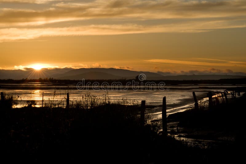Marshland at sunset stock image. Image of spring, sunrise - 5860685