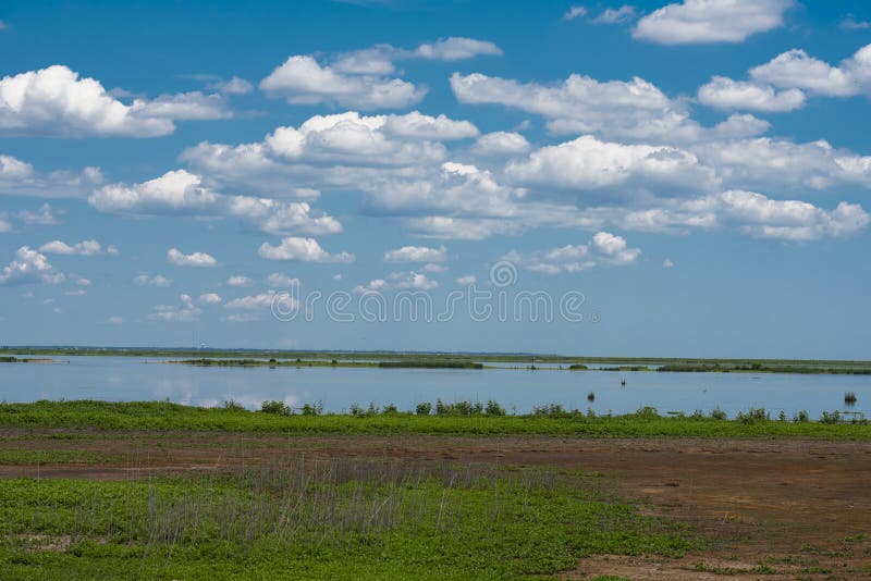 Marshlands in Southern New Jersey Stock Photo - Image of beauty ...