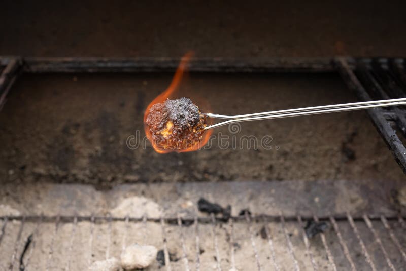 Marshmallow Burning on Fire Over Hot Coals Stock Image - Image of fire ...