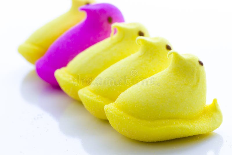 Lime stock vector. Illustration of citrus, isolated, health - 15507891