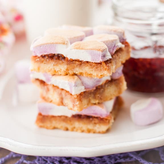 Marshmallow Jam Slice stock photo. Image of food, homemade - 55403280