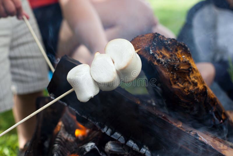 Marshmallows barbecue stock image. Image of candy, sweet - 31499321