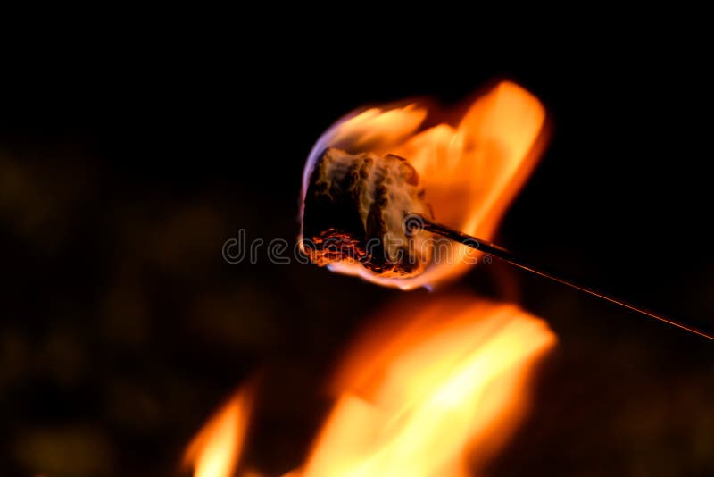 Marshmallows Cooking on an Open Fire Stock Image - Image of bonfire ...