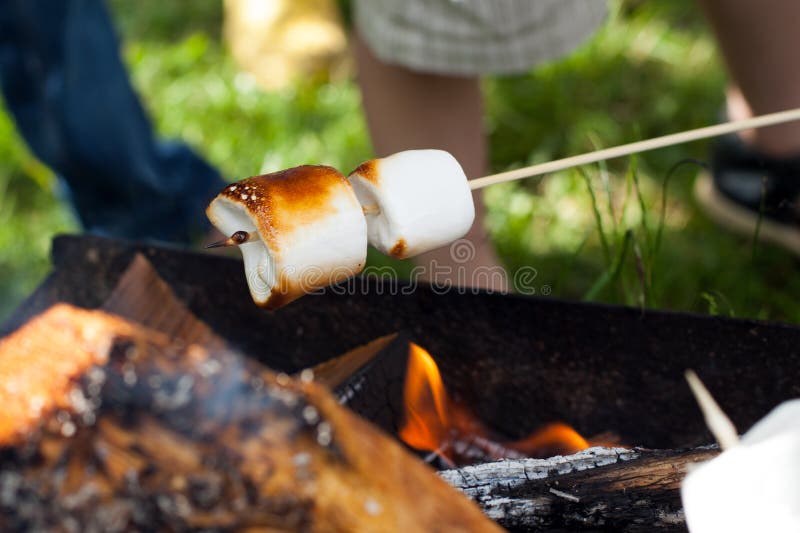 Marshmallows stock photo. Image of sweet, fire, cook - 31499204