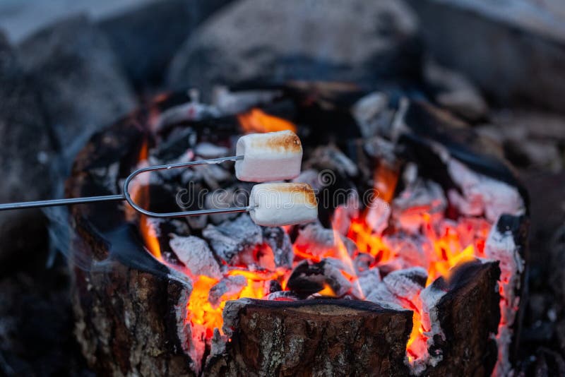 Marshmallows Over Coals Smoldering Stock Photo - Image of food, roast ...