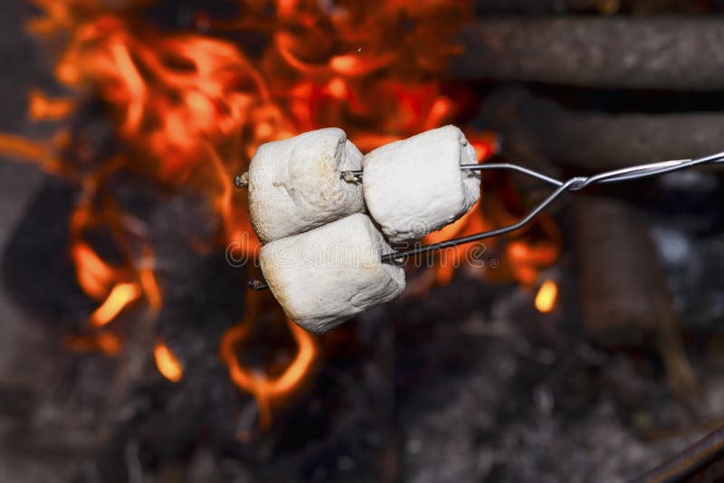 Roasting Marshmallow stock image. Image of camping, fire - 225767