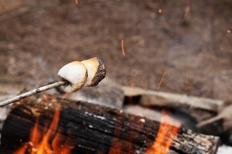 Marshmallows on a Stick Over a Bonfire Stock Image - Image of dusk ...