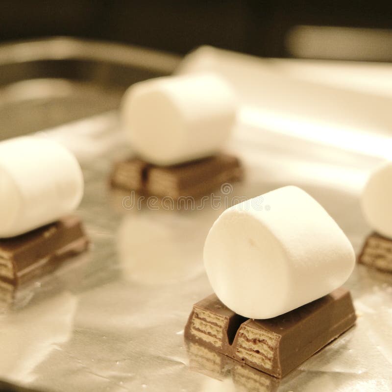 Marshmellow on chocolate stock image. Image of white - 259195423