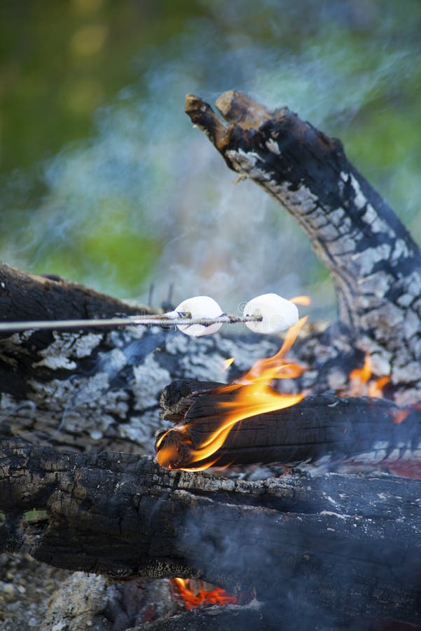 Marshmellows on a Steel Rod Roasting Over an Open Fire. Stock Image ...