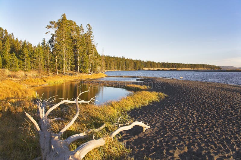 Marshy plain stock image. Image of smooth, north, scene - 177325275