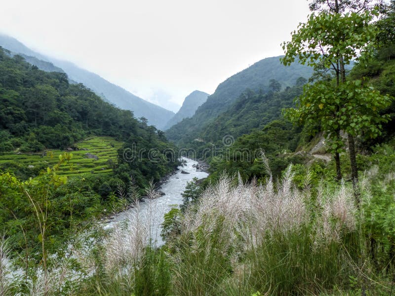 Lush Green Landscape of Marsyangdi River Valley with Terraced Fields in ...