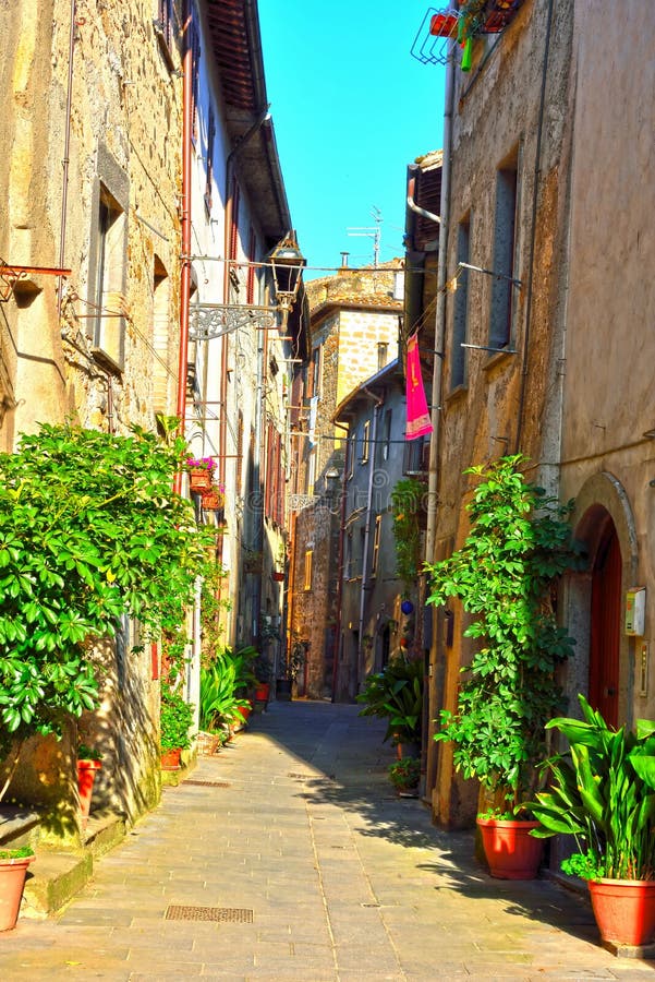 360 Marta Lazio Stock Photos - Free & Royalty-Free Stock Photos from ...