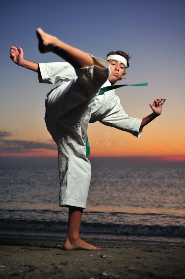 Martial Art Picture. Image: 6762605