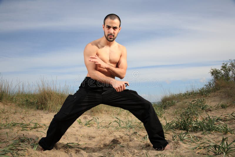 Martial arts instructor stock photo. Image of muscle - 26951096