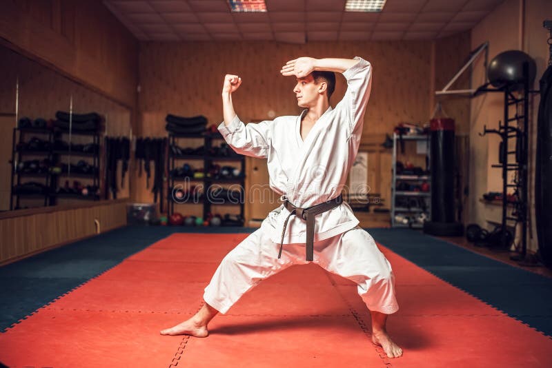 Martial Arts Master on Fight Training in Gym Stock Image - Image of ...