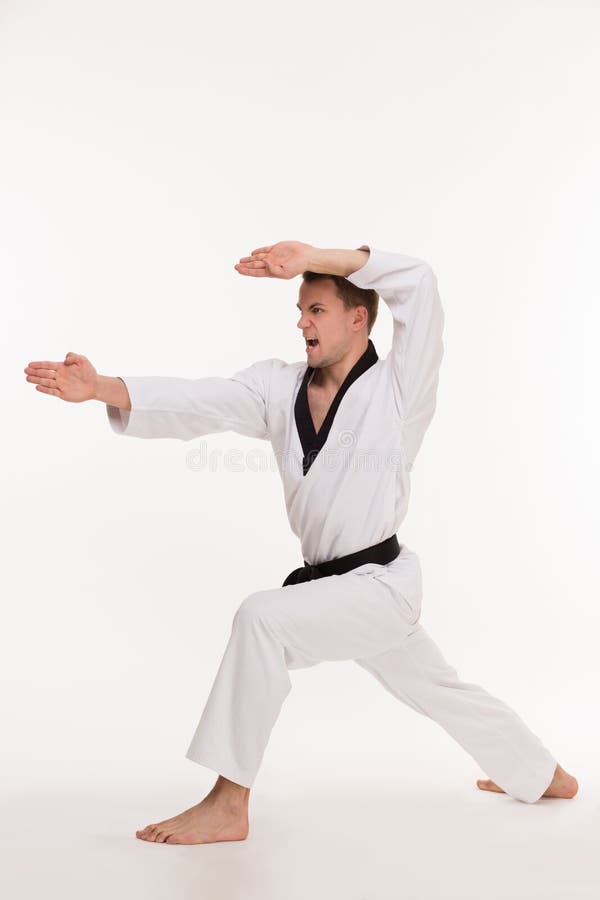 Martial arts master stock image. Image of fighting, marshal - 53359699