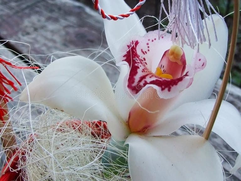 1 Martie stock photo. Image of handmade, martisor, romania - 87372526