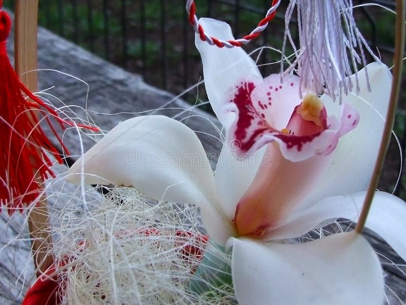 1 Martie stock image. Image of elements, brooch, martisor - 87372537