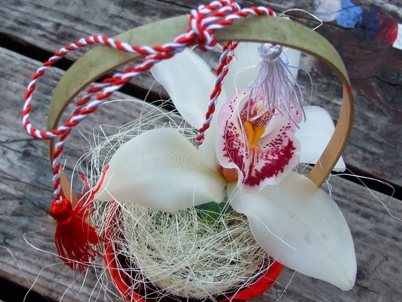 1 Martie stock photo. Image of decorative, holiday, plant - 87372710