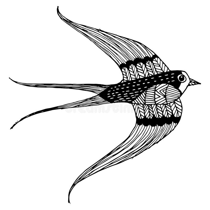 Martin Bird Doodle Vector stock vector. Illustration of bird - 68359528