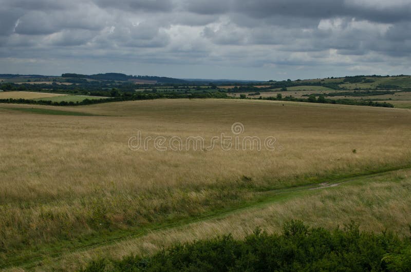 Martin Down National Nature Reserve Stock Image - Image of nature ...