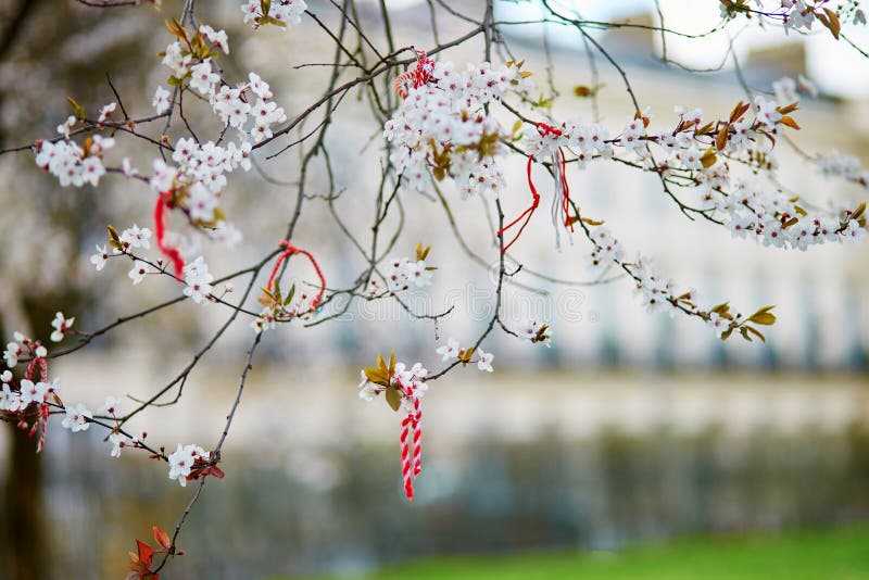 Martisor, symbol of spring stock image. Image of branch - 87088695
