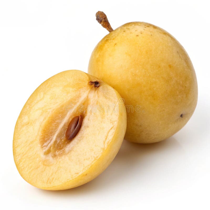 Marula Fruit Isolated on White Background Stock Illustration ...