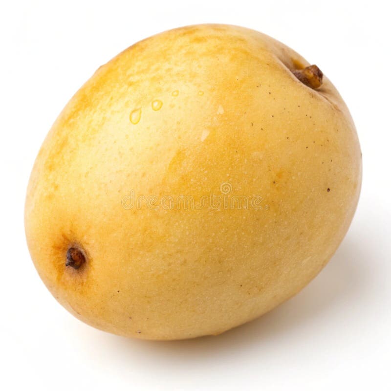 Marula Fruit Isolated on White Background Stock Illustration ...