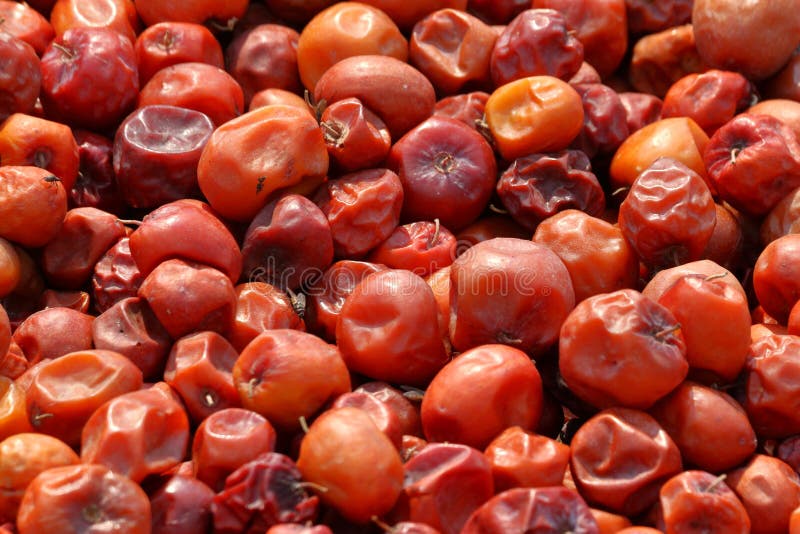 Marula fruits from Malawi stock photo. Image of berry - 136430014