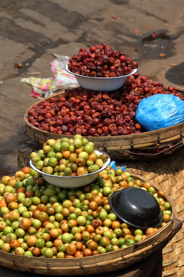Marula fruits from Malawi stock image. Image of plum - 136430301