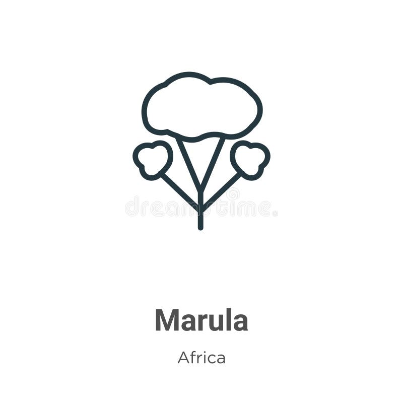 Marula Branch Stock Illustrations – 73 Marula Branch Stock ...