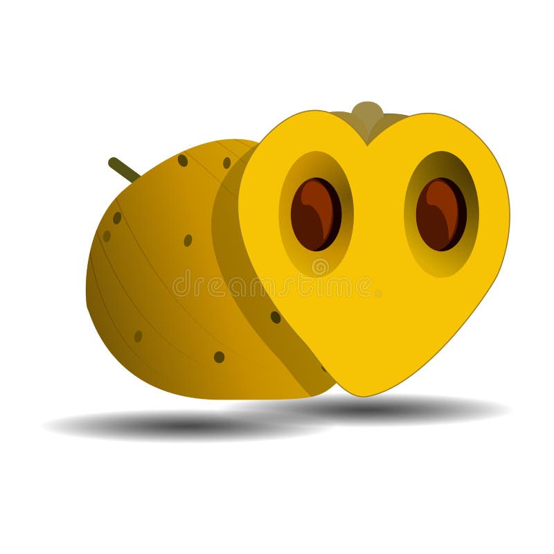 Marula Fruit Stock Illustrations – 148 Marula Fruit Stock Illustrations ...