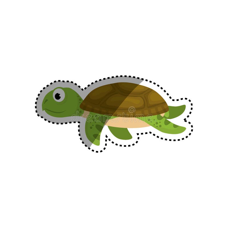 Marune turtle animal stock illustration. Illustration of wildlife ...