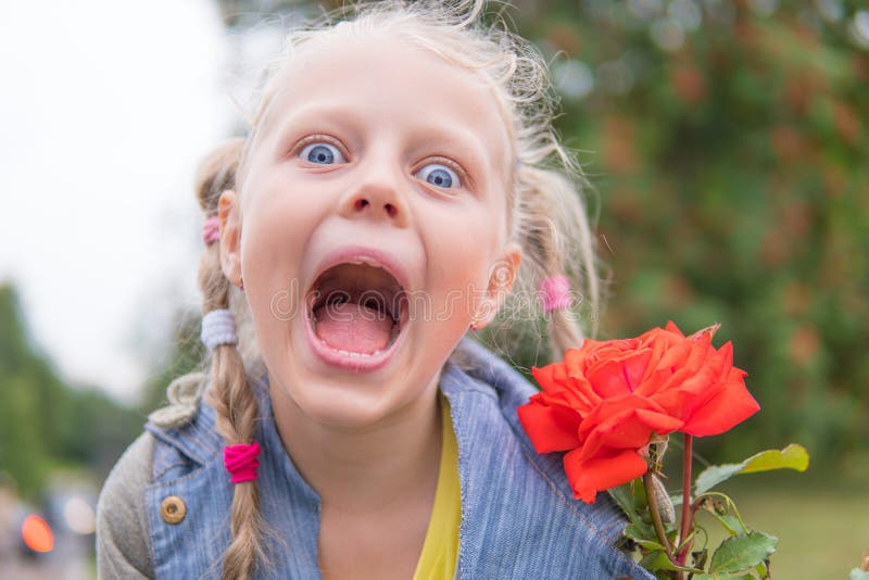 390,742 Red Rose Love Stock Photos - Free & Royalty-Free Stock Photos ...