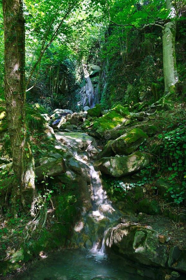 Marvellous Refreshing Waterfall Waterfall in Fairy Forest among the ...