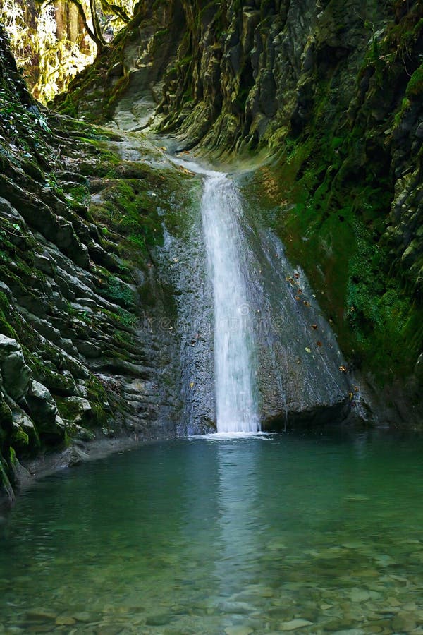 Marvellous Waterfall Waterfall in the Forest among Gorge Stock Photo ...