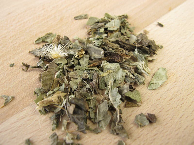 Mary Thistle Cardui Mariae Herba Stock Photos - Free & Royalty-Free ...