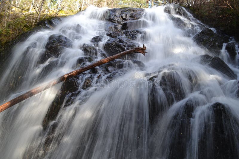 Mary Vine Creek Waterfall on Vancouver Island Stock Image - Image of ...