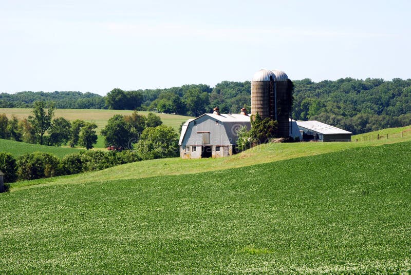 Maryland Farm stock photo. Image of grain, farming, barn - 15376428