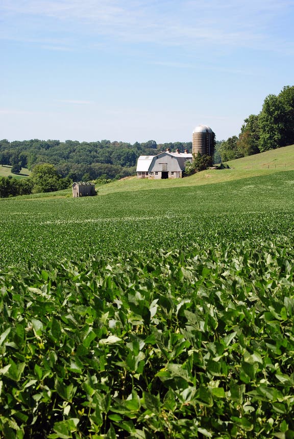 Maryland Farm stock image. Image of farms, building, green - 15376445