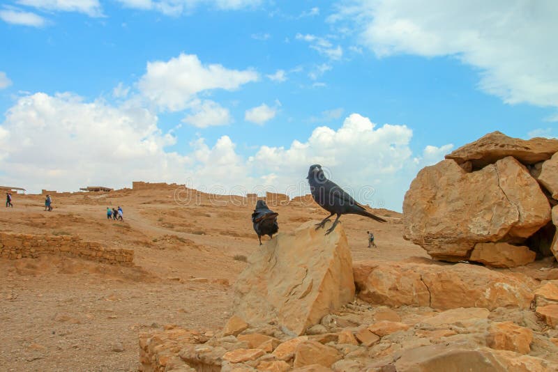 Masada stock image. Image of fortress, fastness, desert - 91053237