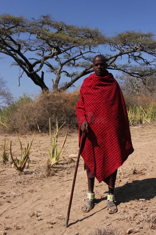 Masai sheperd editorial stock image. Image of ethnic - 20672739