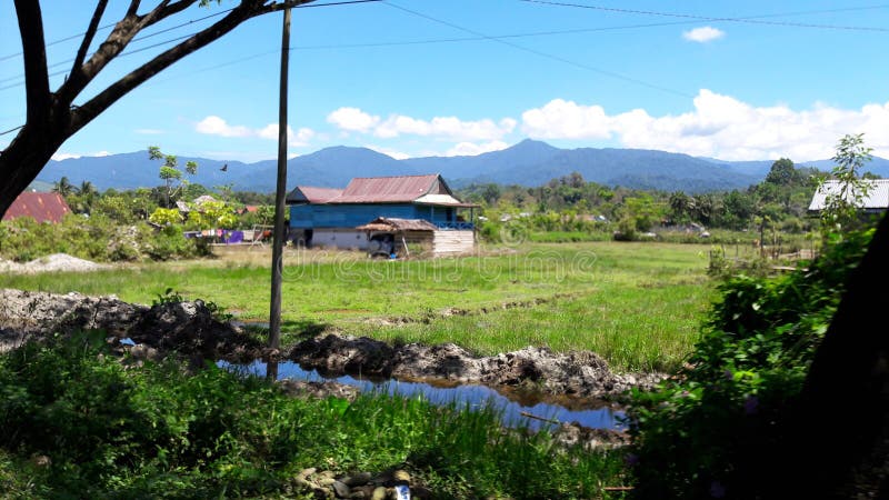 Masamba City Stock Photos - Free & Royalty-Free Stock Photos from ...