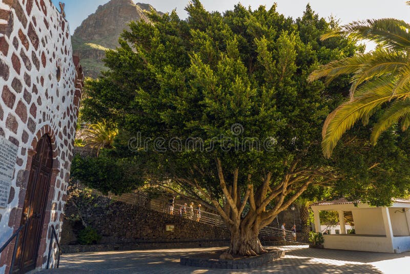 Masca Walk in Tenerife, Canary Islands. Stock Image - Image of island ...