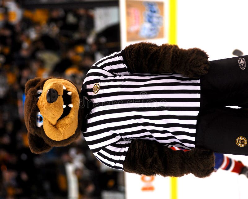 Mascotte Di Boston Bruins Delle Lame Immagine Editoriale - Immagine di ...