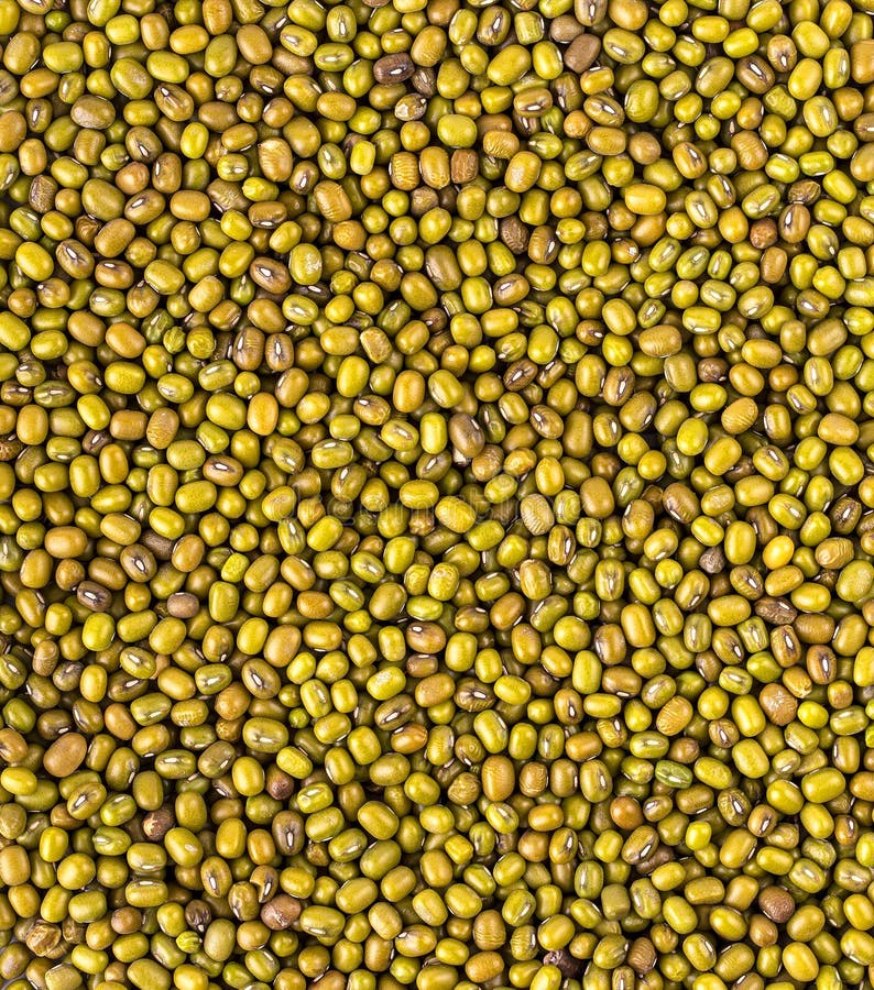 Mash, Green Raw Beans As Texture Stock Image - Image of gourmet, bean ...