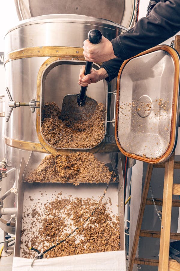 Process of Brewing Grain of Barley Stock Photo - Image of craft ...
