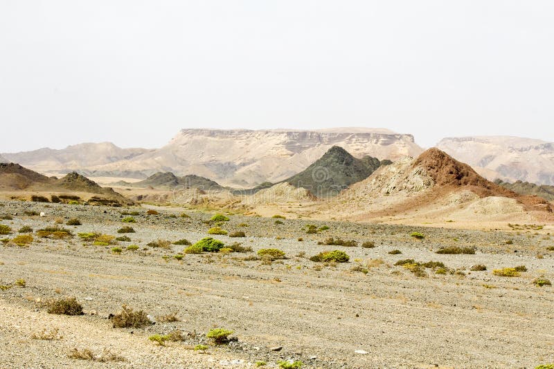 Beautiful Tropical Island of Masirah in Oman Stock Photo - Image of ...