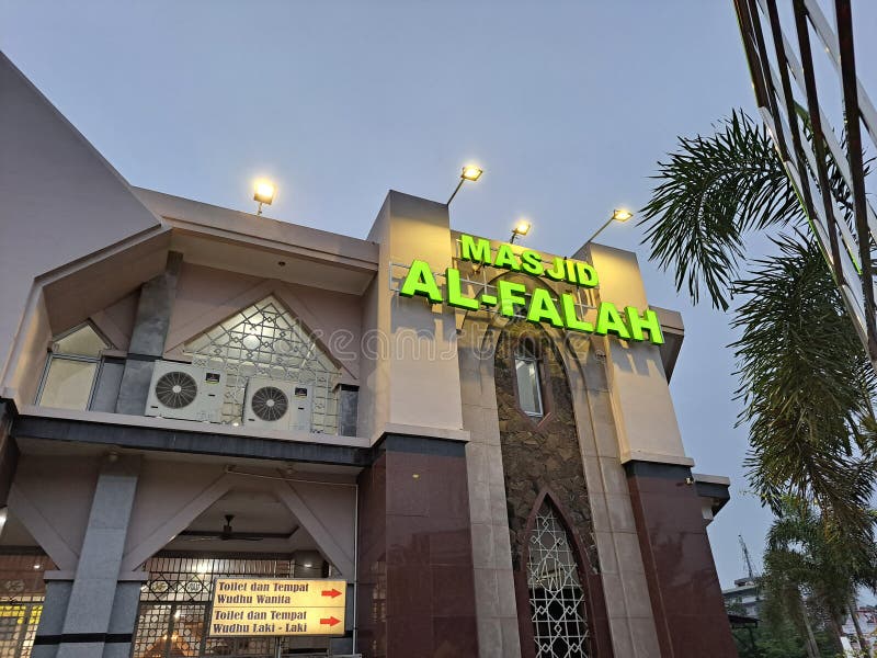 Falah Misquito Stock Photos - Free & Royalty-Free Stock Photos from ...