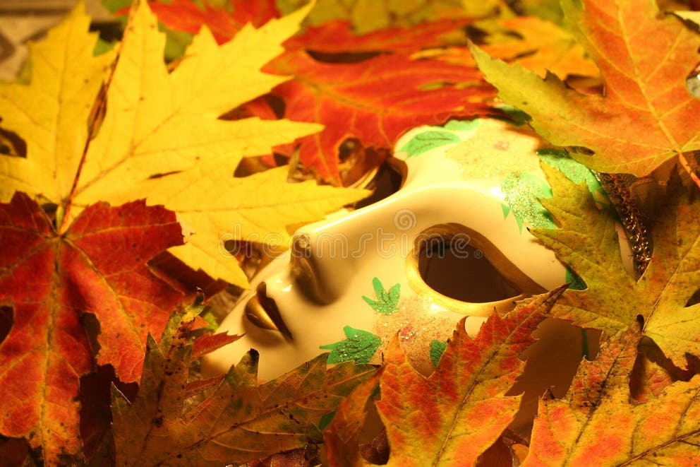 Mask in Maple leaves stock photo. Image of clown, colorful - 3560022